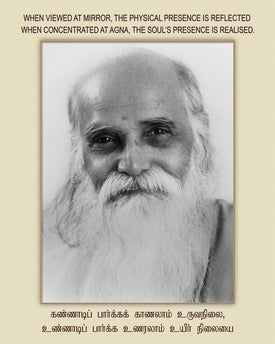 Photos – Vethathiri Maharishi Simplified Kundalini Yoga